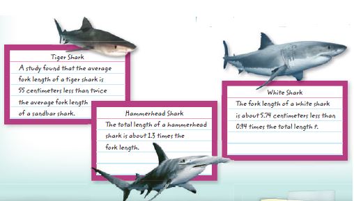 Grade 7 McGraw Hill Glencoe - Answer Keys Answer keys Chapter 5 ...